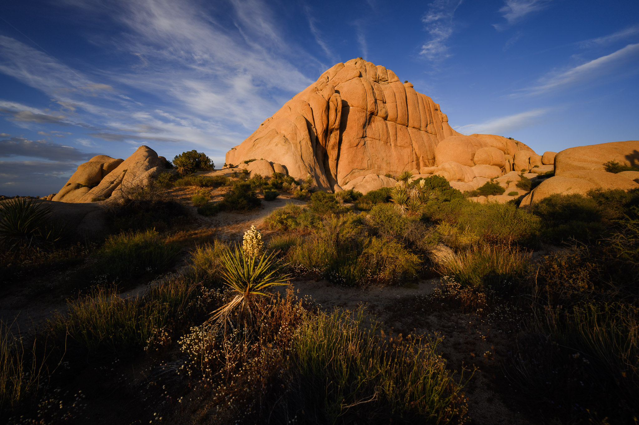 Best Camera for Landscape Photography in 2019 - GearOpen.com