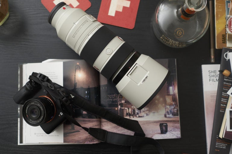 Three Excellent Sony Lenses You Can Use for Wildlife Photography ...