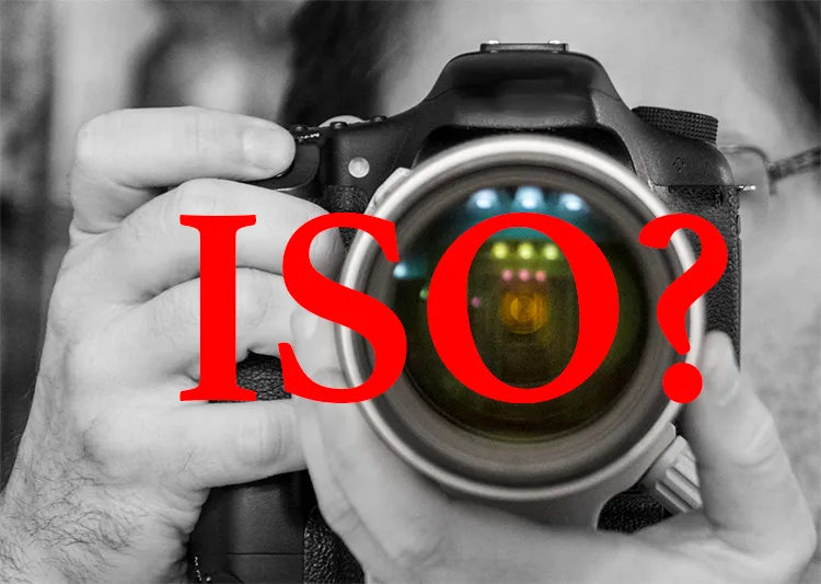 The ins and outs of ISO: What is ISO? - GearOpen.com