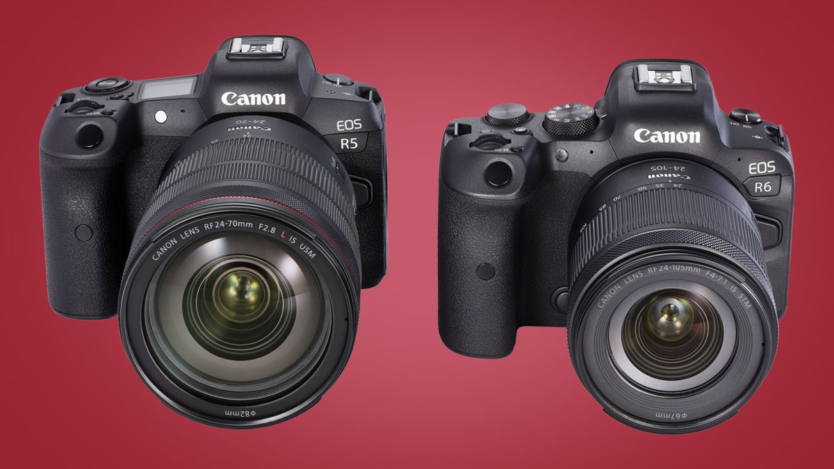 Canon EOS R5 Vs R6 What s The Difference GearOpen