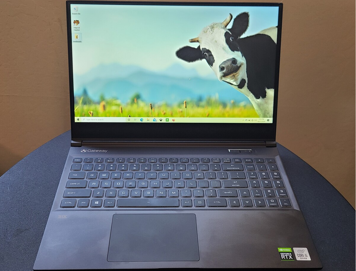 Gateway GWTN156-3BK review: A gaming laptop that lives a bit too loud ...