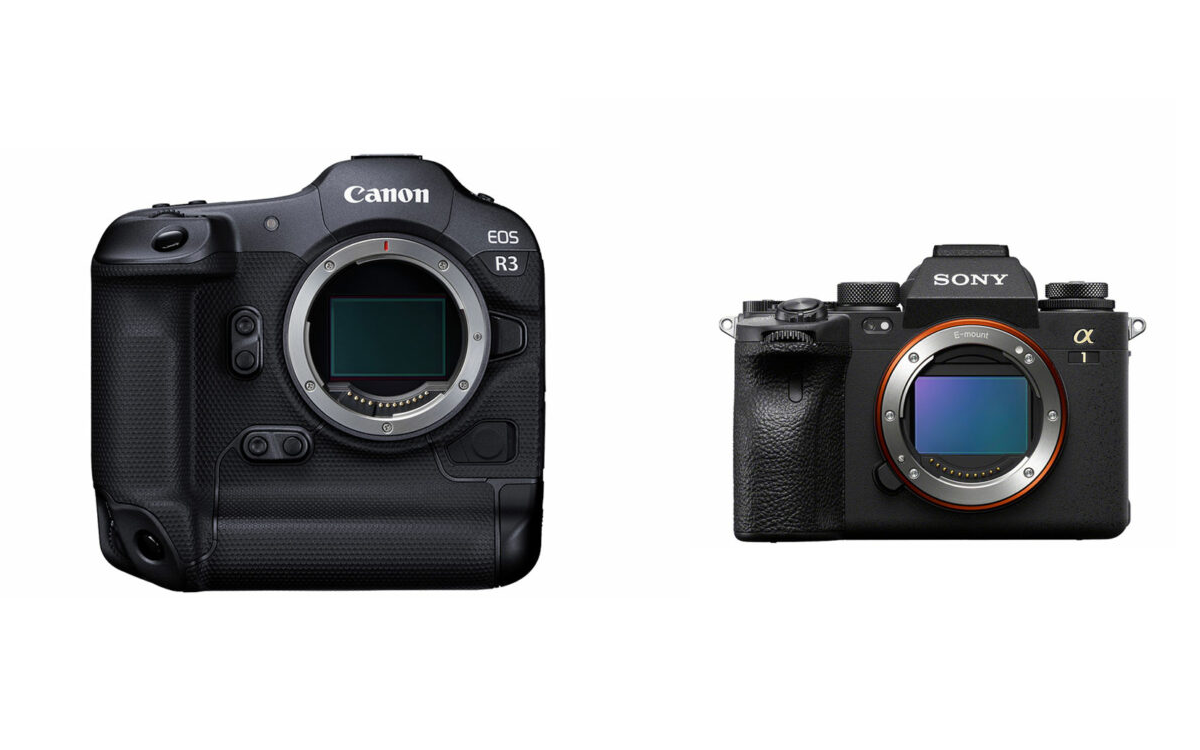 Canon EOS R3 vs Sony A1 – The 10 main differences - GearOpen.com