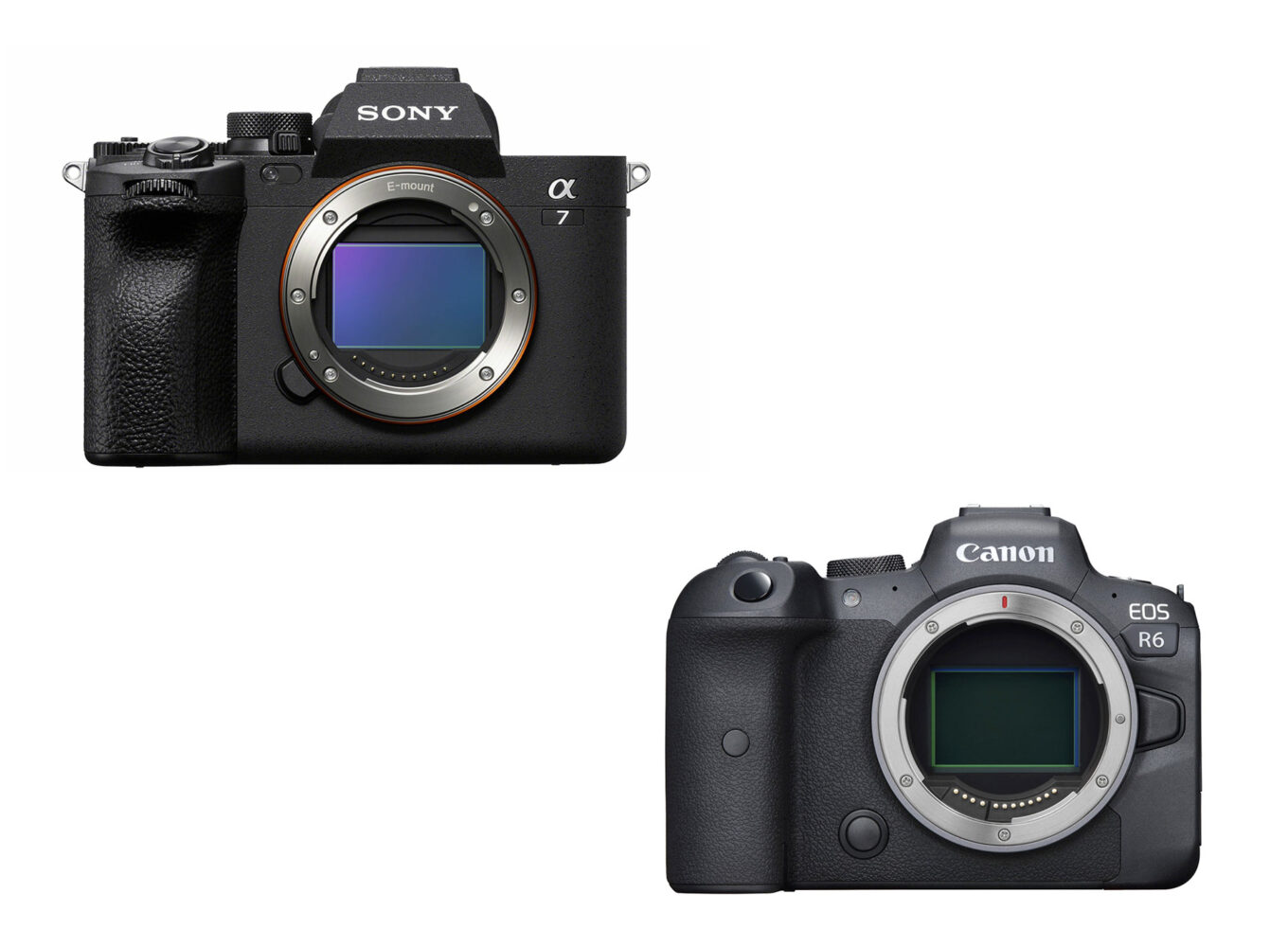 Sony A7 IV vs Canon EOS R6 – The 10 main differences - GearOpen.com